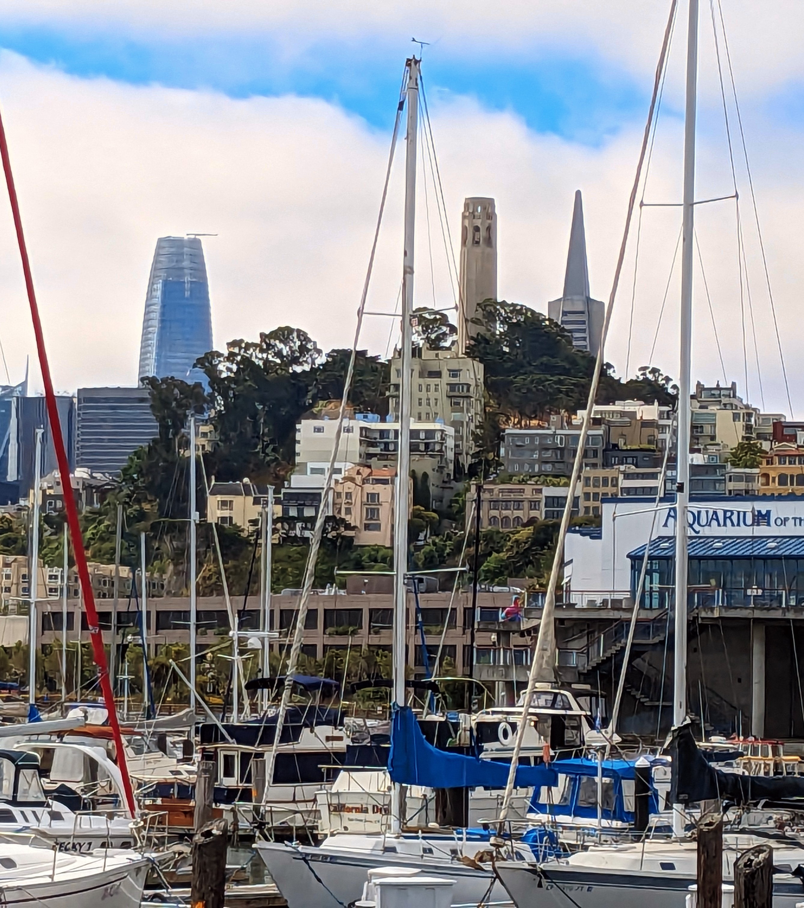 San Francisco in Doom Loop? – Uncharted Waters